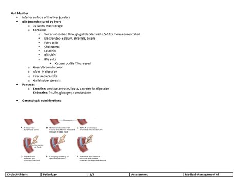 Gall Bladder Mapping Final Gall Bladder Inferior Surface Of The Liver