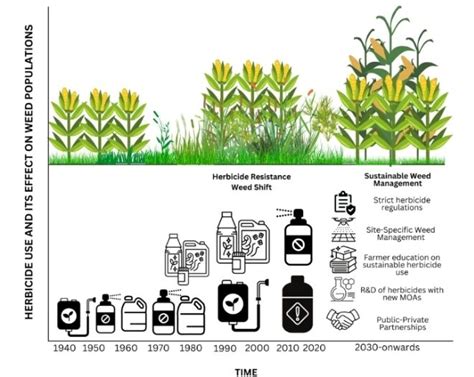 Herbicides Can Be Classified Based On Various Criteria Including Their Chemical Structure Mode