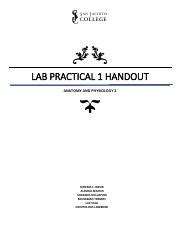 Lab Practical 1 Handout Pdf LAB PRACTICAL 1 HANDOUT ANATOMY AND PHYSIOLOGY 2 SHEEMA F NASIR