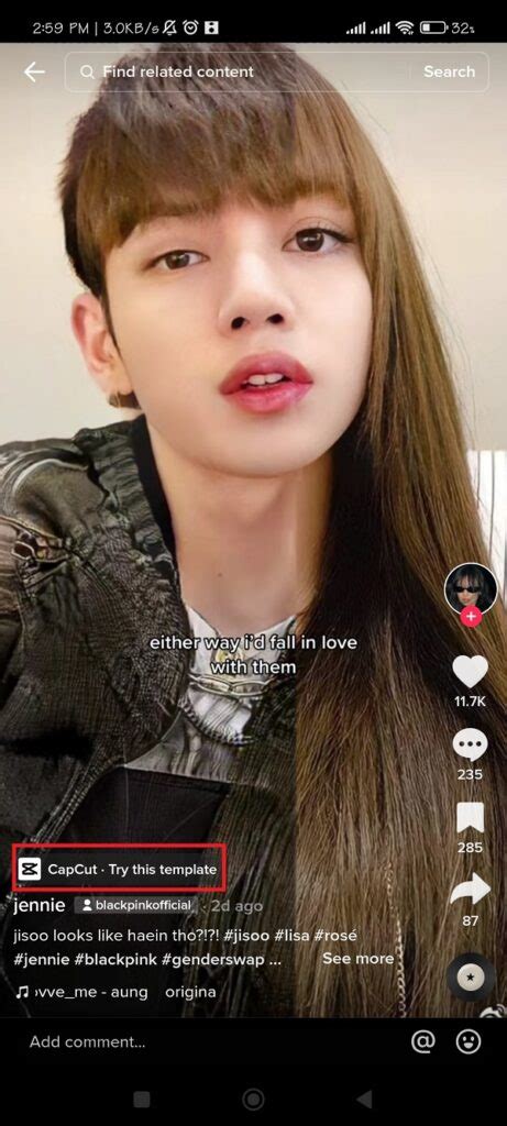 How To Do Gender Swap Filter On CapCut The Nature Hero