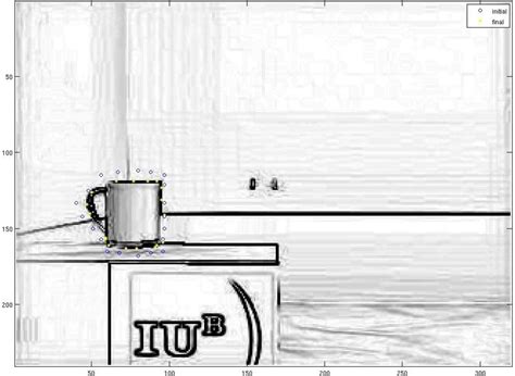 Template Convolution Performed On Simulatorleft And Real