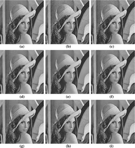 visual results of different denoising algorithms for lena image a noise
