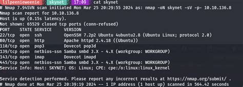 Try Hack Me Skynet Ryushes Blog