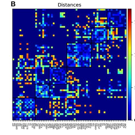 Structural Properties Of The Human Connectome A The Normalized Download Scientific Diagram