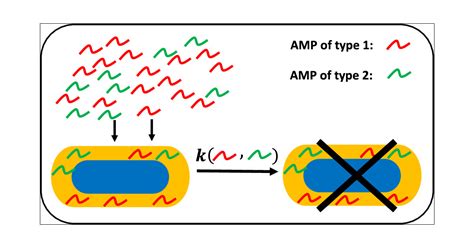 Cooperativity In Bacterial Membrane Association Controls The Synergistic Activities Of