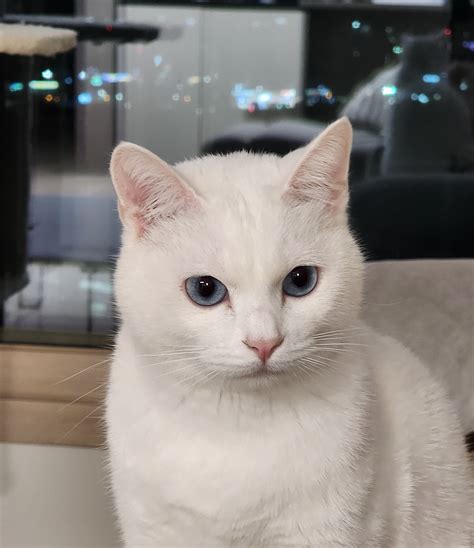 명상이 정신 건강에 미치는 긍정적인 영향과 실천 방법