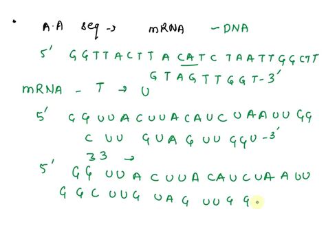 solved use the two gene sequences to answer the rest of the questions