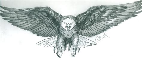 Eagle Tattoo By Eilid On Deviantart