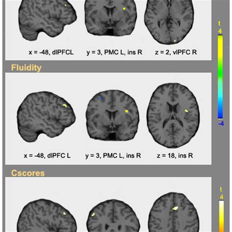 Regression Analyses Brain Activity Resulting From The Independent