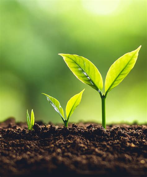 Irohaについて 株式会社iroha