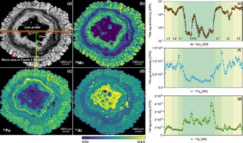 Whole Nodule Texture And Elements Visualization Of 55 Mn 57 Fe 27 Al