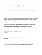 Worksheet Creating Phylogenetic Trees From DNA Sequences Worksheet Creating Phylogenetic Trees