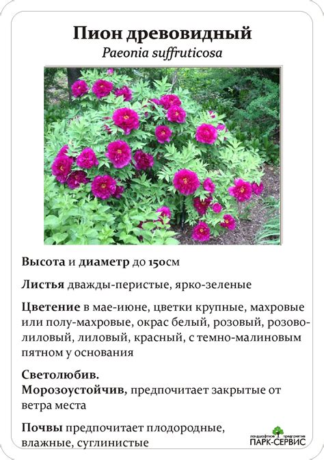 Лиственные