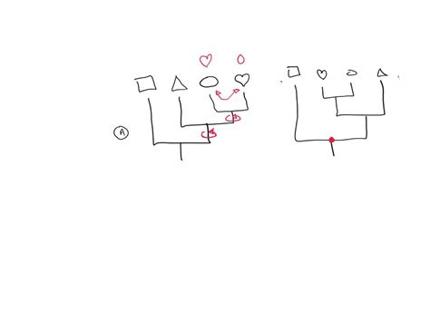 Solved Which Of The Evolutionary Trees Below Show Similar Evolutionary Relationships Between