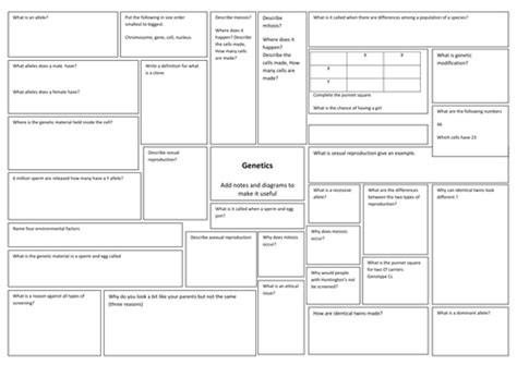 Genetics Revision Sheet Print A3 Teaching Resources