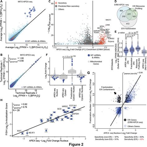 Validation Of Apex Seq A Apex Seq In The Mitochondrial Matrix