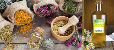 Buy Organic Medicinal Oil Organic Herbal Blends Medicinal Balms