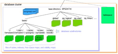 Where Does PostgreSQL Datafile Get Stored ExadataBlogg