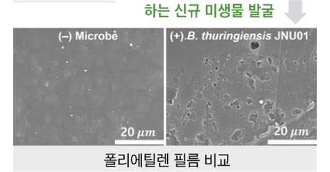 전남대 연구팀 폴리에틸렌 분해 미생물 발견… “플라스틱 문제 해결 실마리”