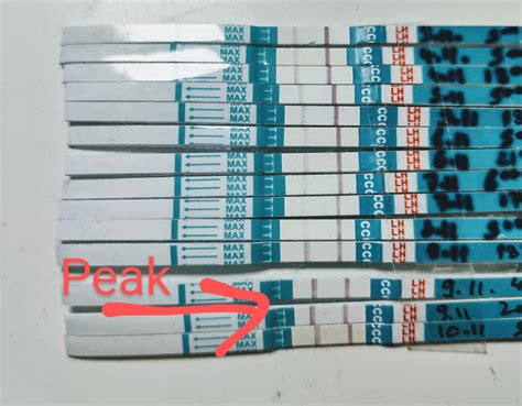 Help With Reading Ovulation Tests Mumsnet