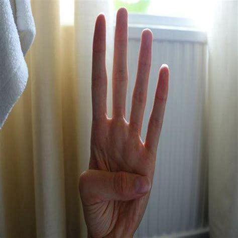Hands Detection Object Detection Model By Ensam