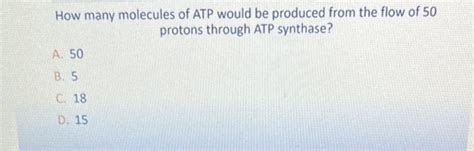 Solved How Many Molecules Of Atp Would Be Produced From The