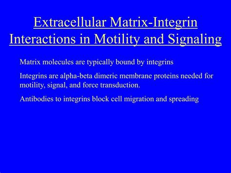 Ppt Lamellipodial Extension Driven By Actin Assembly Powerpoint