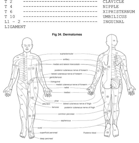 Subarachnoid Block Also Known As Spinal Block Wfsa Resources Subarachnoid Block Also Known As Spinal Block Wfsa Resources