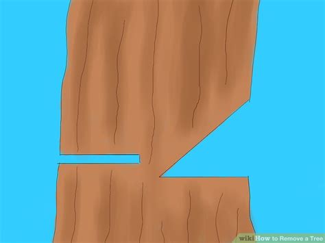 How To Remove A Tree 13 Steps With Pictures WikiHow