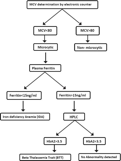 Algorithm For Mass Screening Of Blood Donors For IDA And BTT Download Scientific Diagram