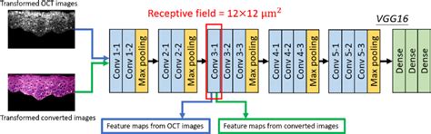the use of vgg16 for feature extraction the feature maps output from