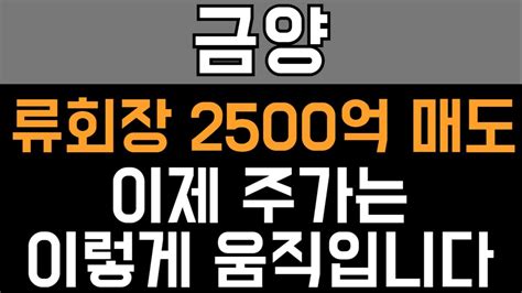 금양 주가전망 류회장 2500억 매도 이제 주가는 이렇게 움직입니다 Youtube