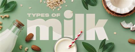 Guide To Different Types Of Milk—dairy And Non Dairy