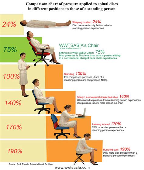 Dual Back Ergonomic Chairs