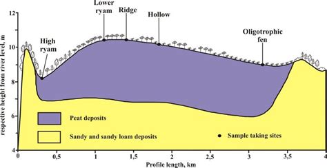 Scheme Of Bog Ecosystems Location Sample Taking Sites Download Scientific Diagram
