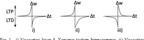 Figure 1 From Self Learning Perceptron Using A Digital Memristor Emulator Semantic Scholar