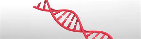 Whole Genome Sequencing Wgs