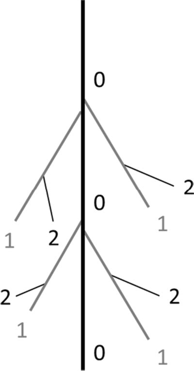 Schematic Diagram Of Root Topology According To Gravelius Ordering Download Scientific Diagram