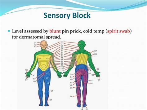 Subarachnoid Block Dr Amit 1 Pptx