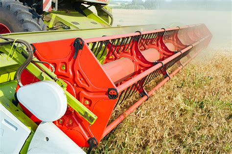 수확기 수확을 잘 익은 밀을 결합합니다 일몰 흐린 오렌지 하늘 배경에 금필드의 잘 익은 귀 풍부한 수확의 개념 농업 이미지 콤바인에 대한 스톡 사진 및 기타 이미지 Istock