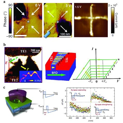 artificial synapses and analog data processing a in plane pfm phase