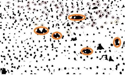 Noise Element Marked On 2 Nd Iteration Download Scientific Diagram