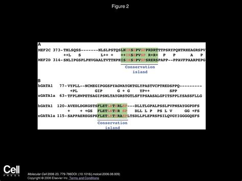 xiang jiao yang serge grégoire molecular cell ppt download