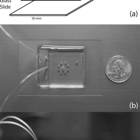 The Multilevel Microfluidic Module For The Generation Of Uniform Fine Download Scientific