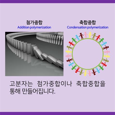 아스파라거스 Subjects 고분자화학 분자량 10000이 넘는 고분자의 중합과 구조 특성에 대해