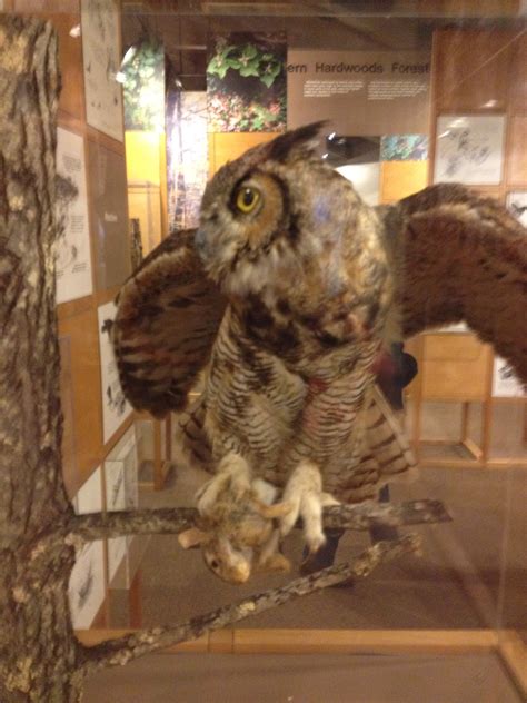 23850858 0 E78 41 B4 Ab72 22353092 F4 Ff Hosted At Imgbb — Imgbb