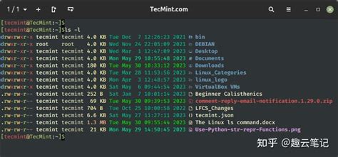 Linux中的20个基本 Ls”命令示例 知乎