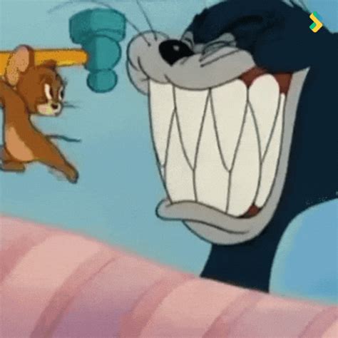 Tom And Jerry Fighting 