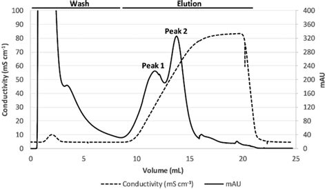 Fplc Chromatogram Profile Of Pdc Purification Using Mana‐agarose And A Download Scientific
