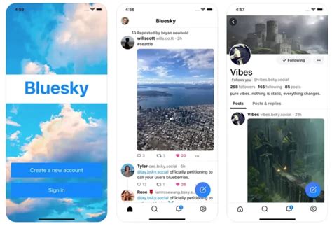 Bluesky: a rede social que conseguiu um milhão de usuários e bateu ...